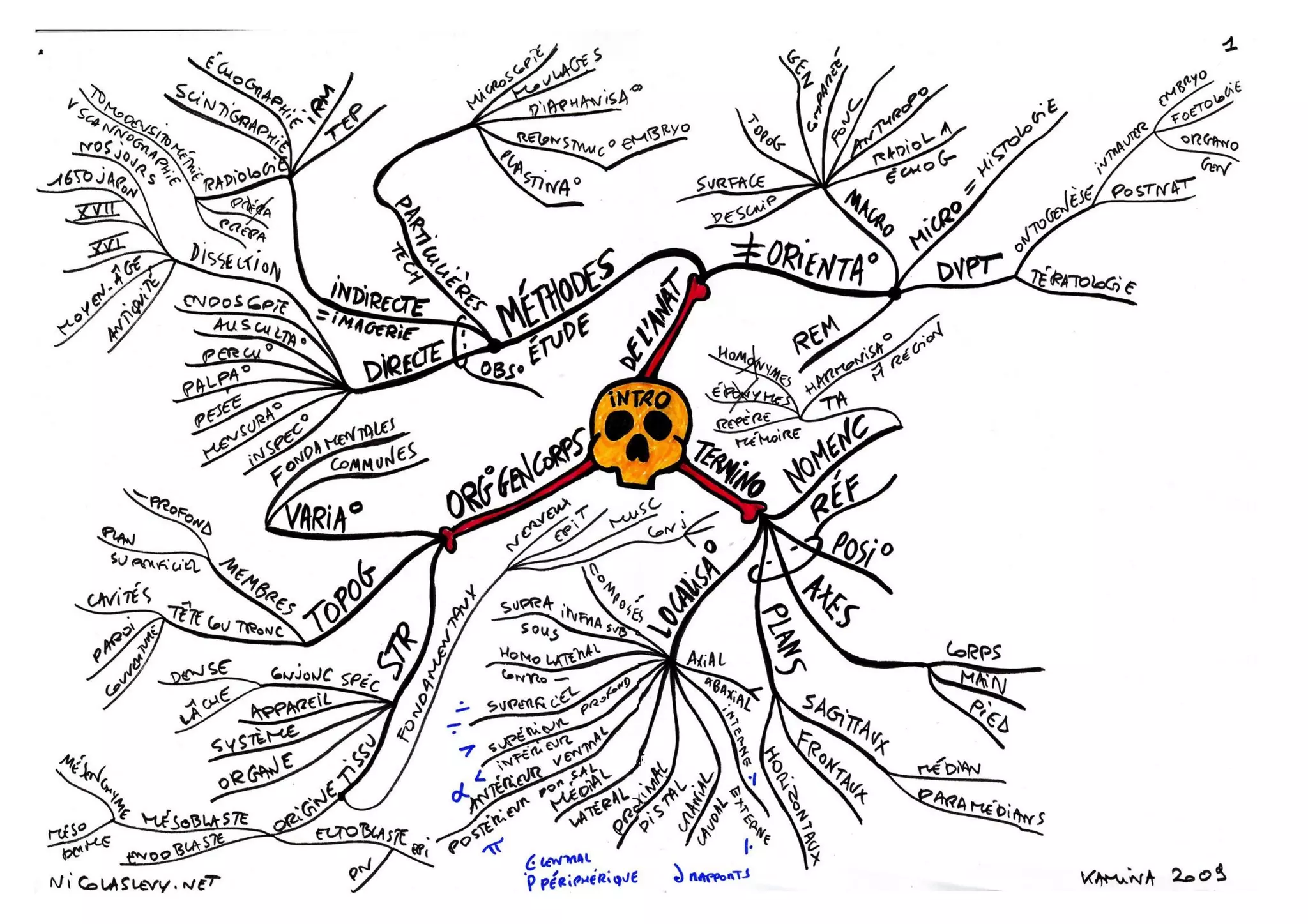 Hand Drawn Examples Of My Mind Maps | PDF