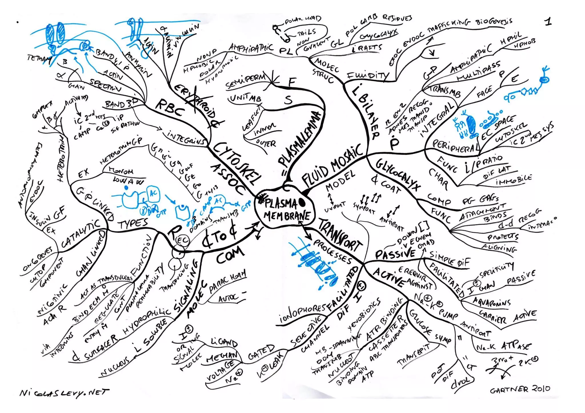 Hand Drawn Examples Of My Mind Maps | PDF