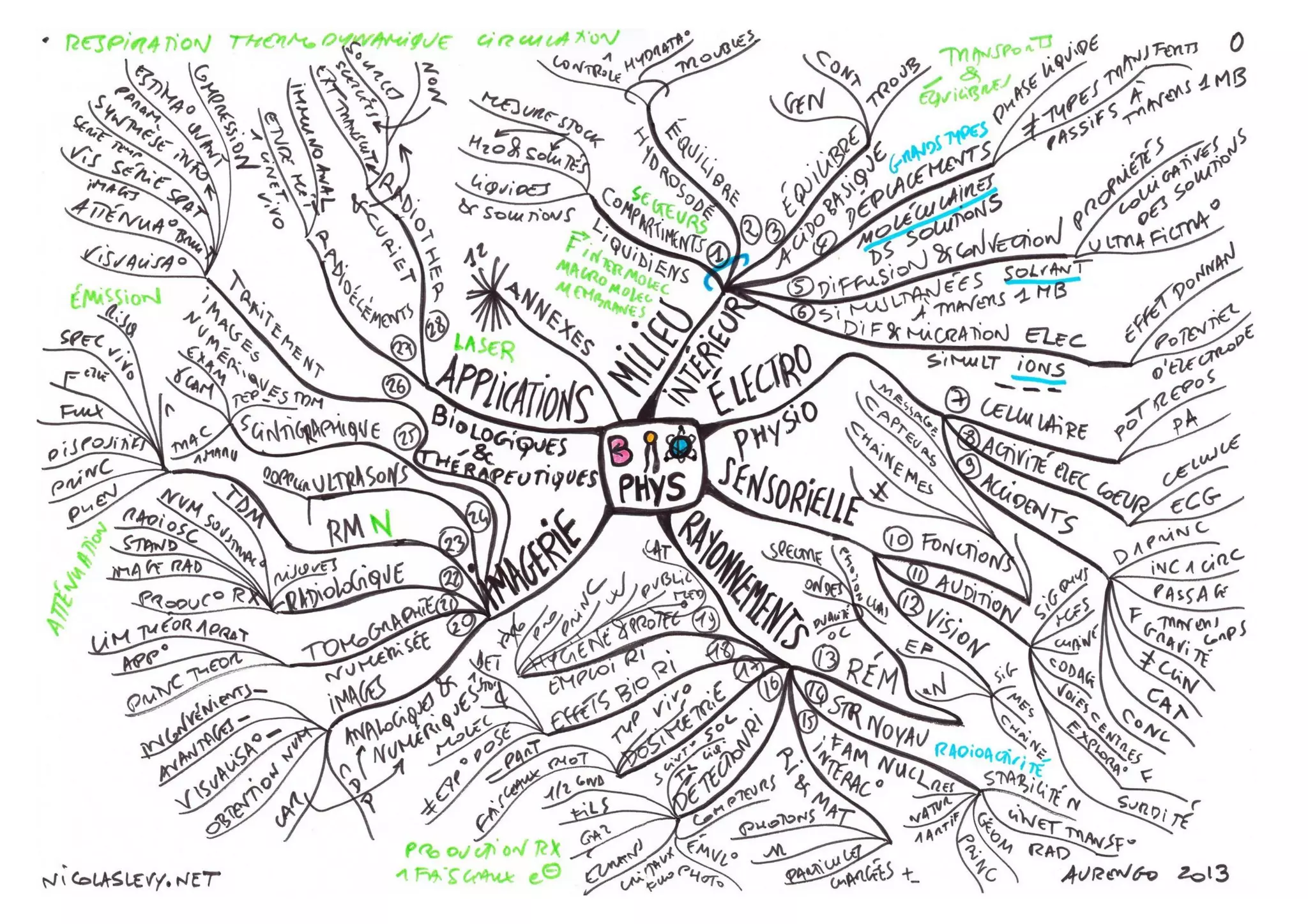 Hand Drawn Examples Of My Mind Maps | PDF