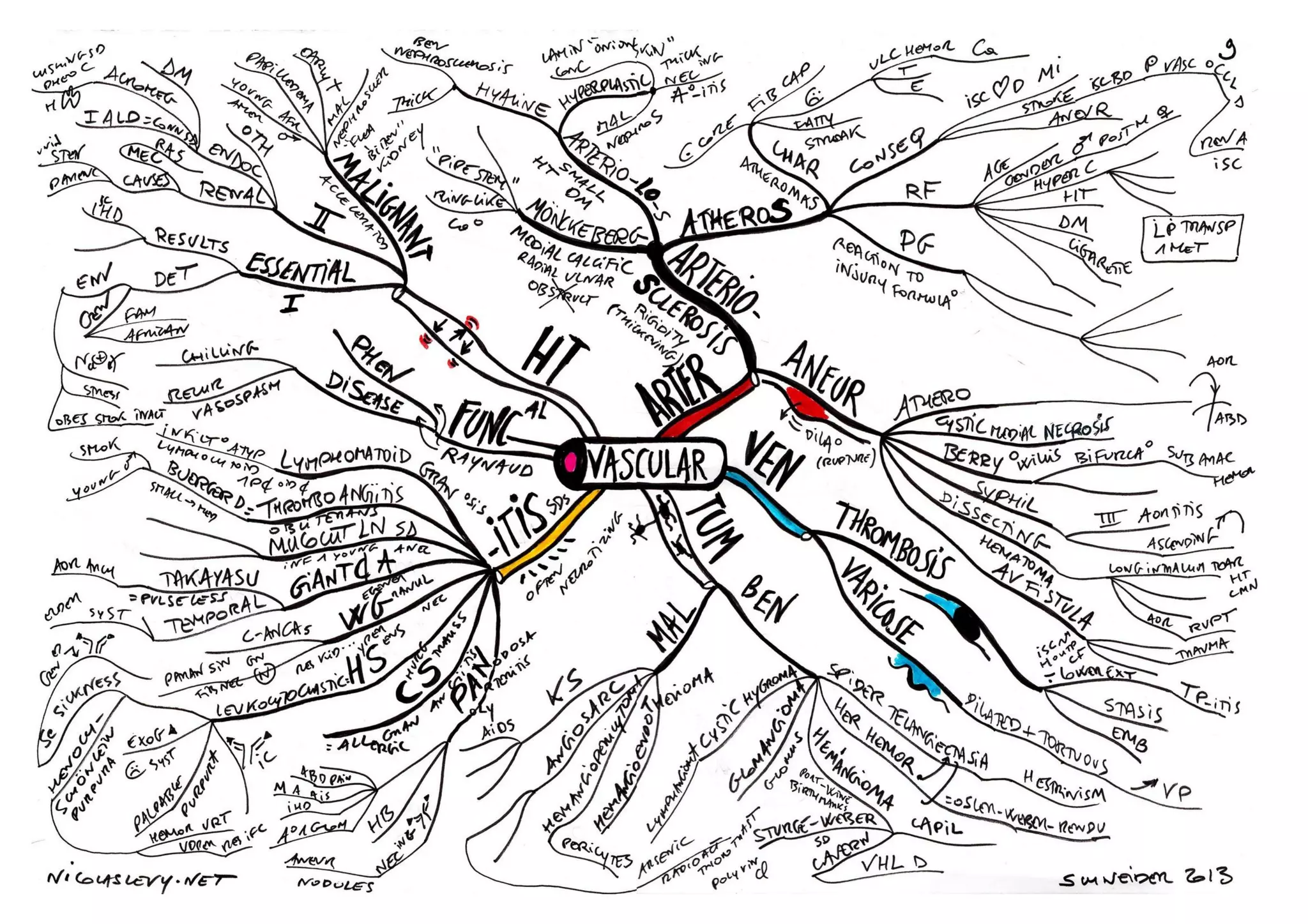 Hand Drawn Examples Of My Mind Maps | PDF