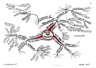 Hand Drawn Examples Of My Mind Maps | PDF