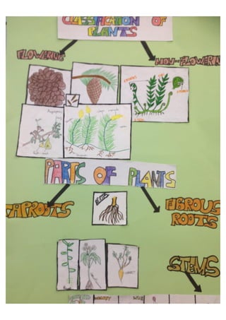 English Project. Discover the plants. Murals. | PPT
