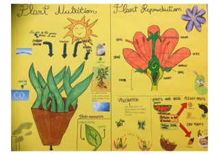 English Project. Discover the plants. Murals. | PPT