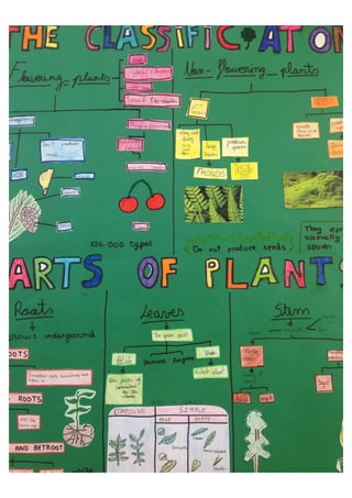English Project. Discover the plants. Murals. | PPT