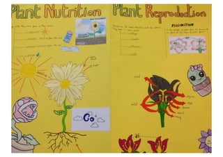 English Project. Discover the plants. Murals. | PPT
