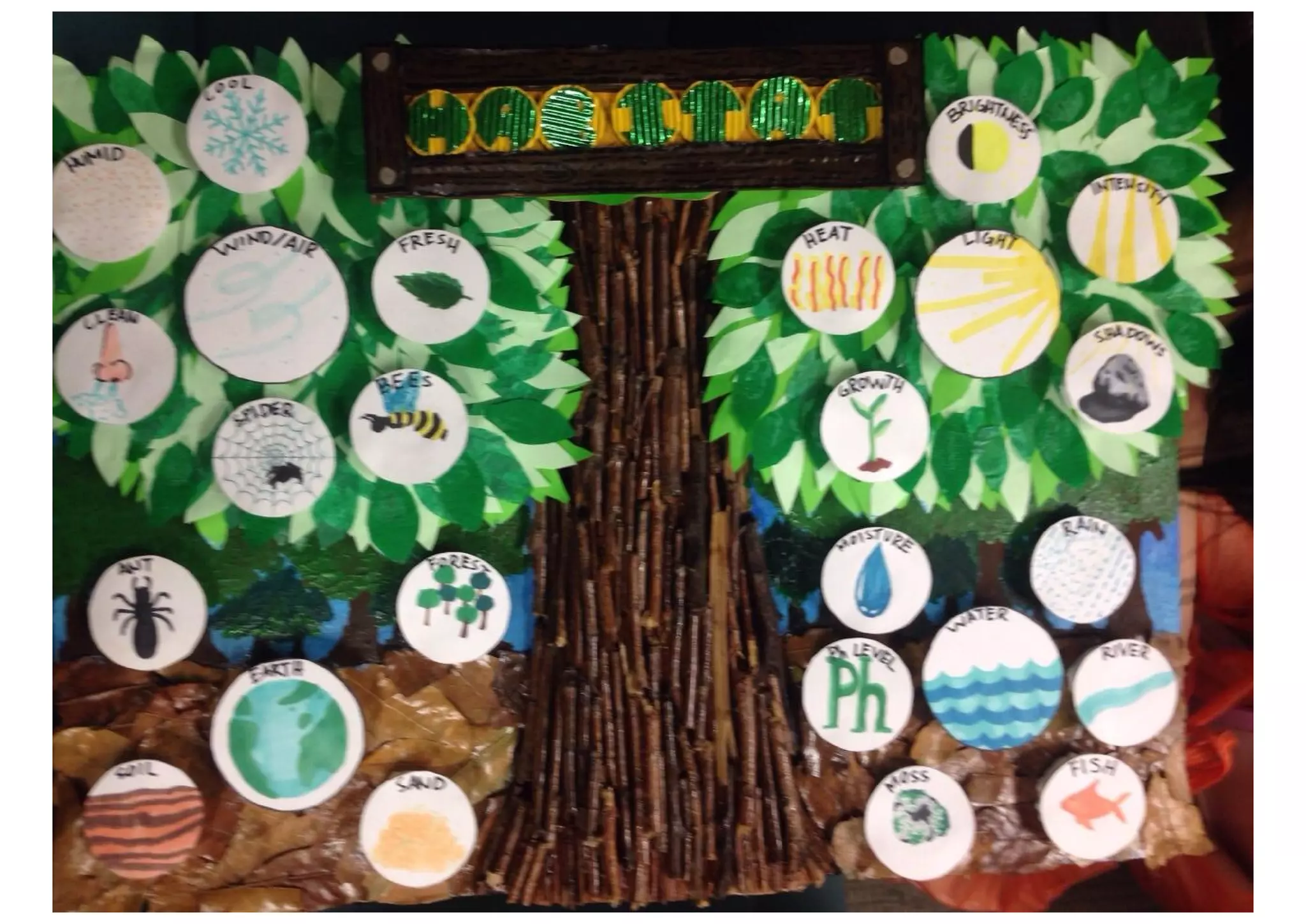 ENBE Presentation Boards Images (10) | PDF