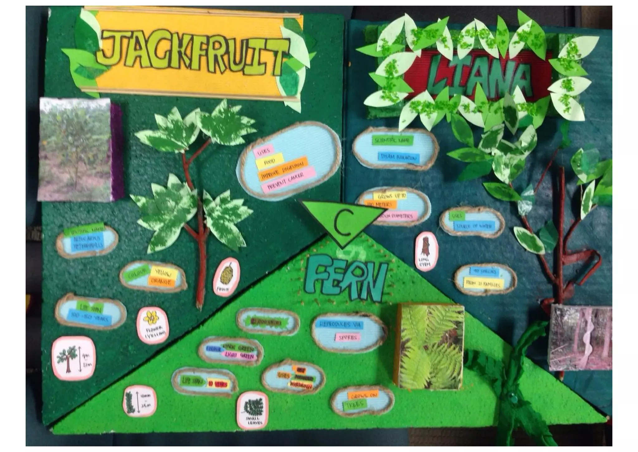 ENBE Presentation Boards Images (10) | PDF