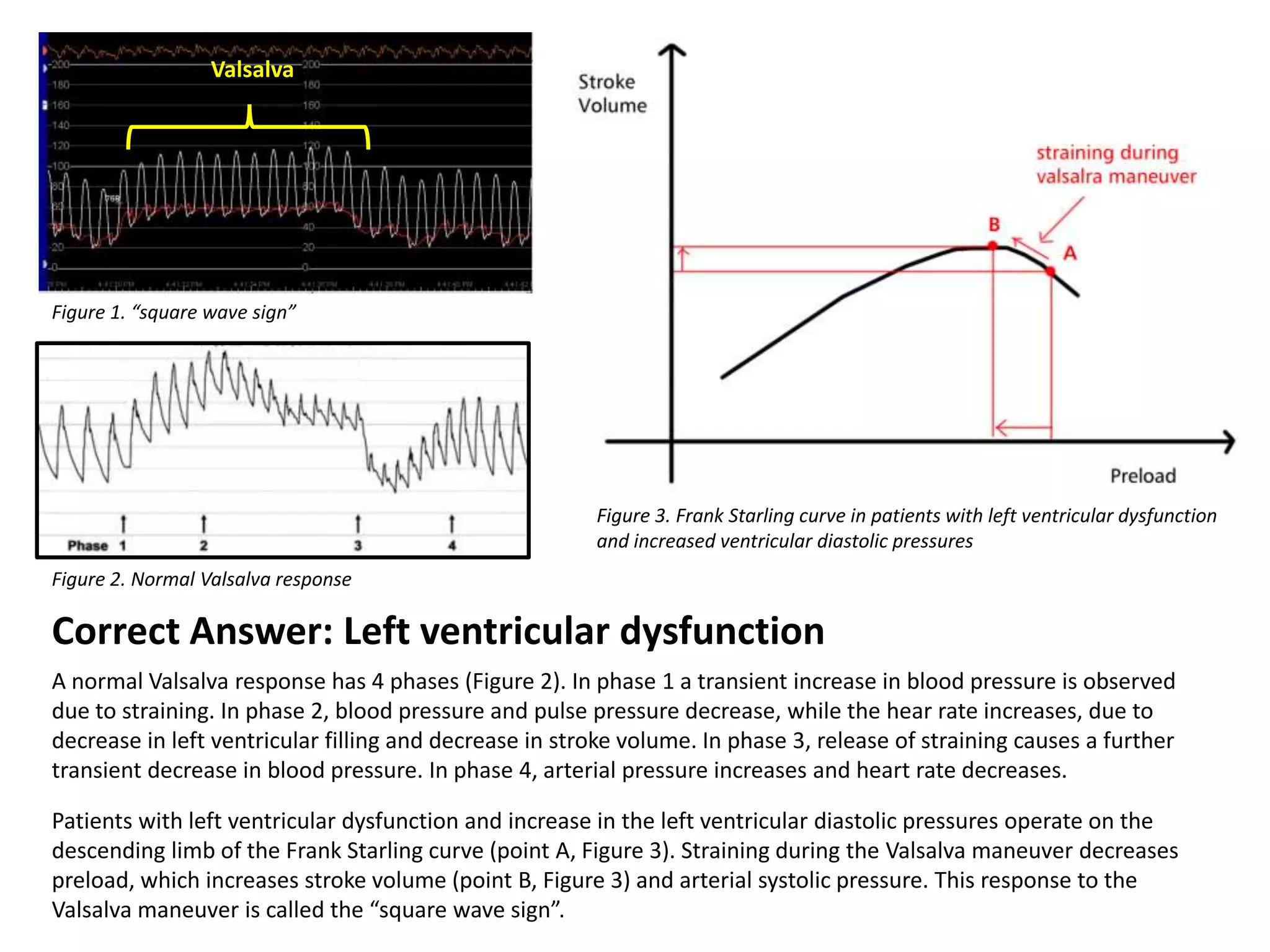 Image of the Week 2 | PPT