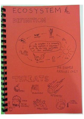 ENBE Scrapbook Images (9) | PDF