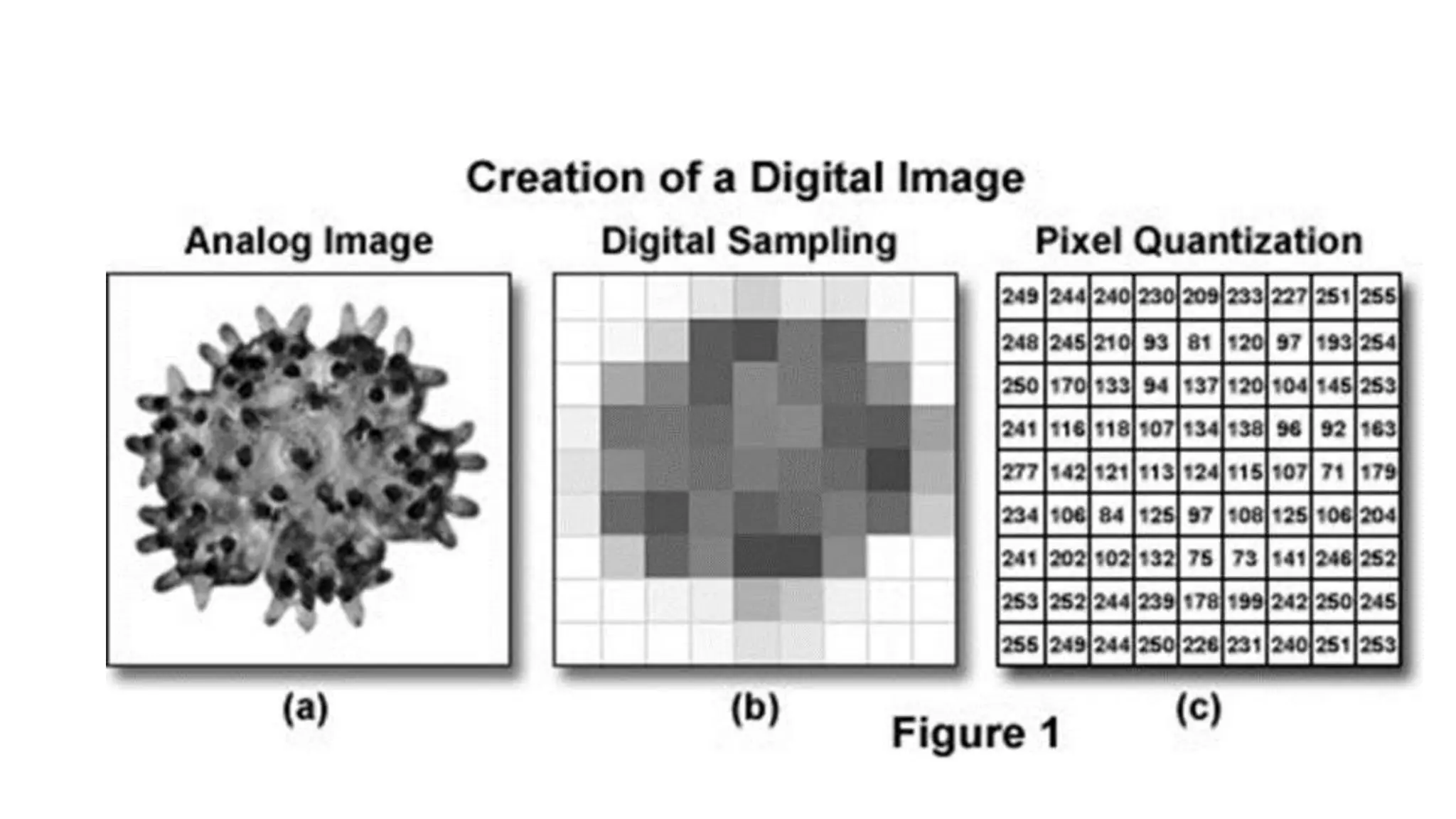 Image Sampling and Quantization.pptx
