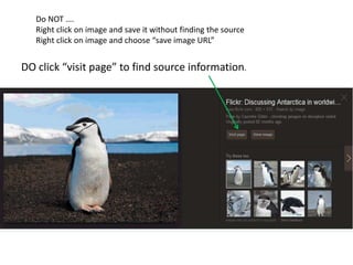 Google Images is NOT a Source and other tips for citing images from the ...