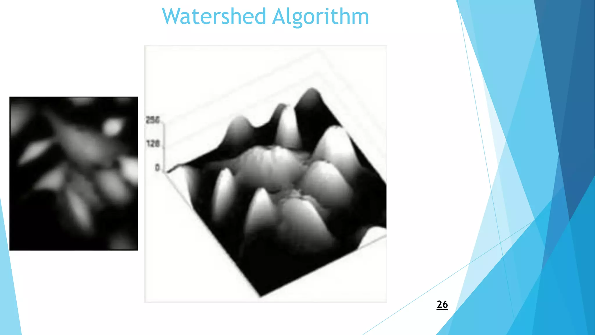 Basic Principles of Image Segmentation in Medical Images.pptx
