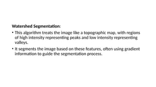 Image Segmentation in Digital Image Processing.pptx