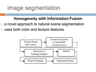 Image segmentation and defect detection techniques using homogeneity | PPT