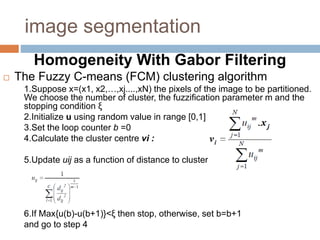 Image segmentation and defect detection techniques using homogeneity | PPT