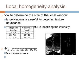Image segmentation and defect detection techniques using homogeneity | PPT