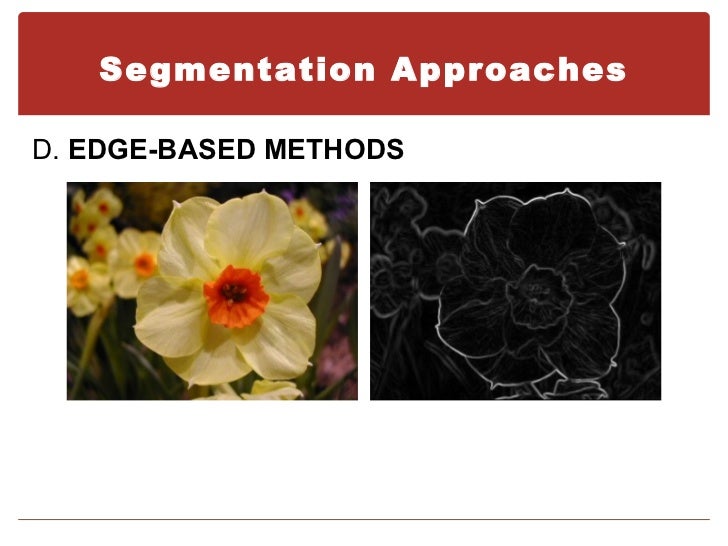 Image Segmentation Ppt 3526