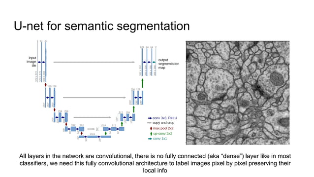 Image segmentation with deep learning | PDF
