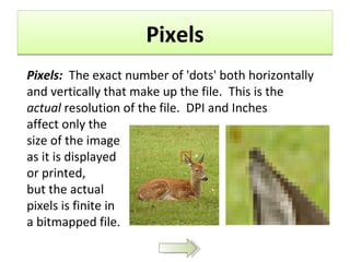 Image Size Use | PPT