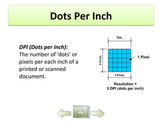 Image Size Use | PPT