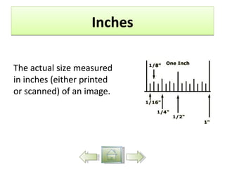 Image Size Use | PPT