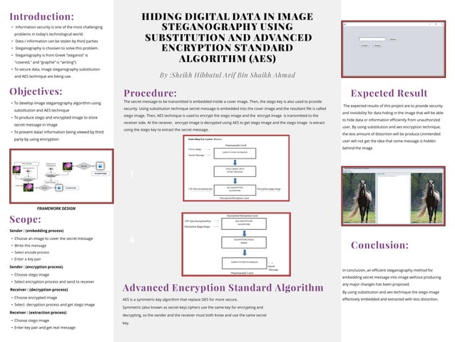 Image steganography using substitution and aes | PPT