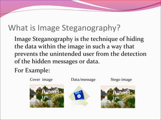 Image stegnogrpahy(muqeed) | PPT | Computing | Technology & Computing