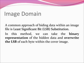 Image stegnogrpahy(muqeed) | PPT | Computing | Technology & Computing