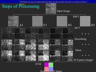 Image Texture Analysis | PPT