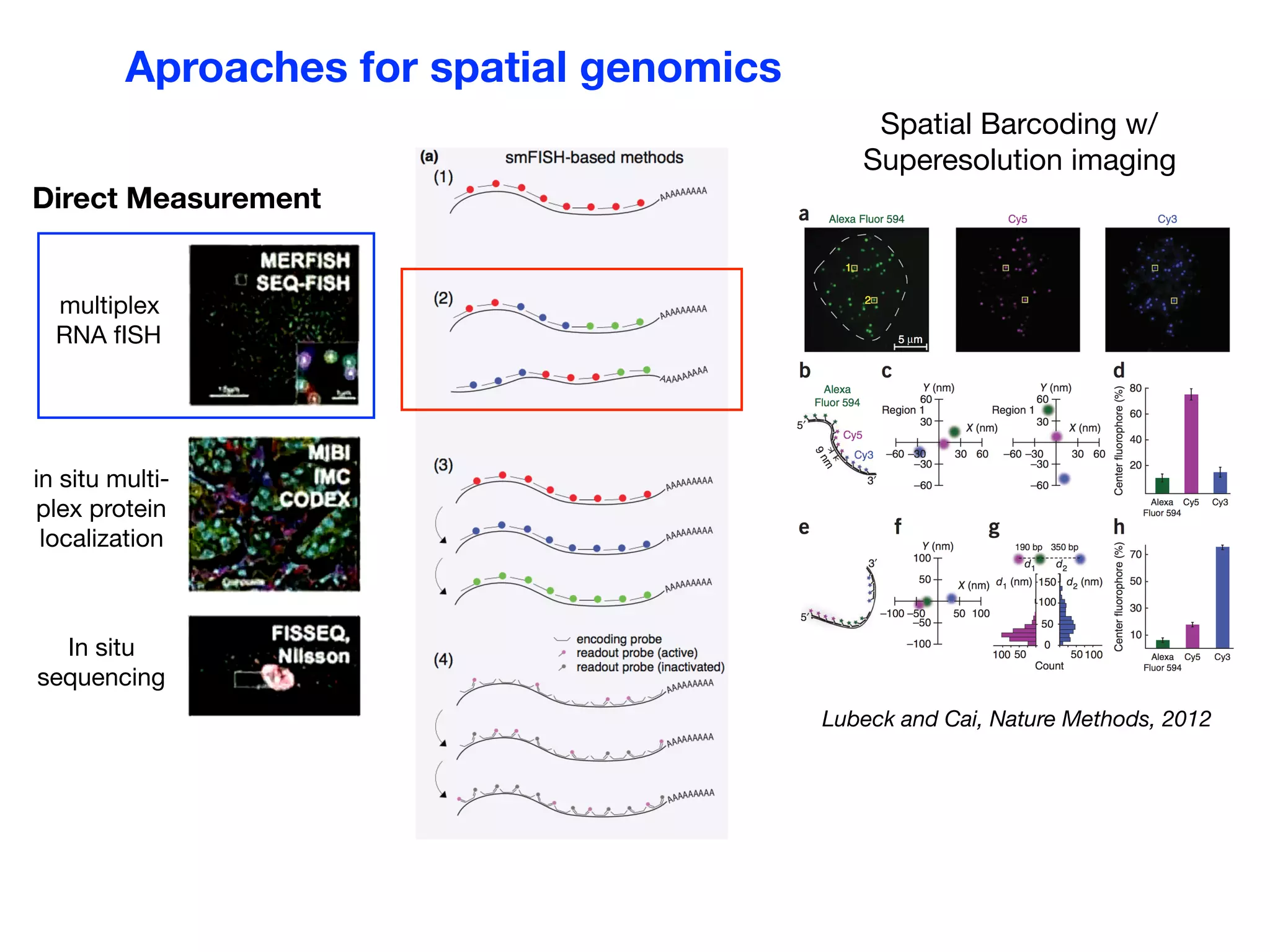 Image Based Transcriptomics: An Overview | PDF