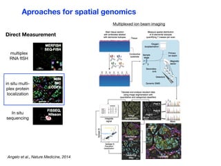 Image Based Transcriptomics: An Overview | PDF