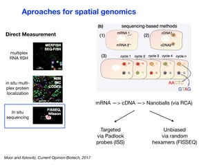 Image Based Transcriptomics: An Overview | PDF