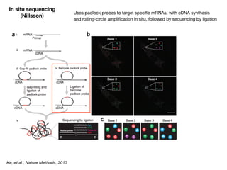 Image Based Transcriptomics: An Overview | PDF
