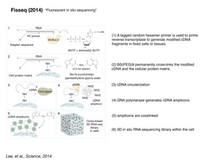 Image Based Transcriptomics: An Overview | PDF