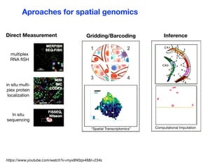 Image Based Transcriptomics: An Overview | PDF