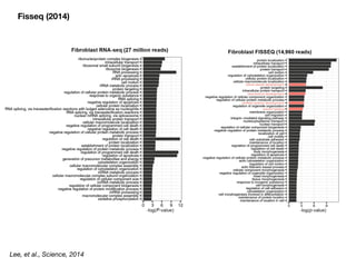 Image Based Transcriptomics: An Overview | PDF