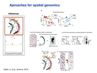 Image Based Transcriptomics: An Overview | PDF