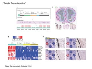 Image Based Transcriptomics: An Overview | PDF