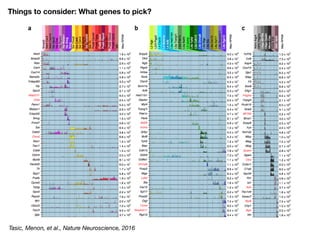 Image Based Transcriptomics: An Overview | PDF