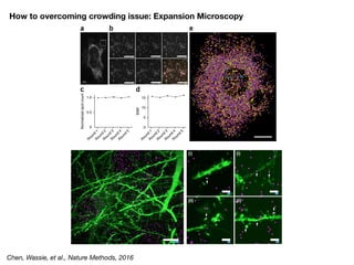 Image Based Transcriptomics: An Overview | PDF