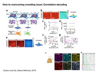 Image Based Transcriptomics: An Overview | PDF