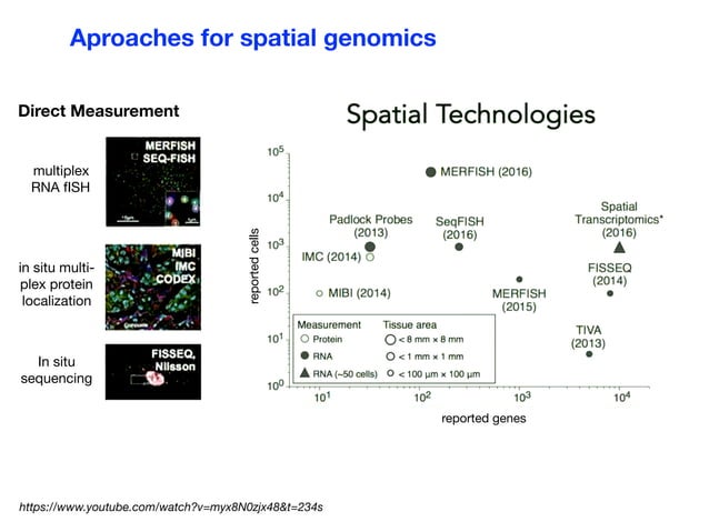 Image Based Transcriptomics: An Overview | PPT
