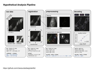 Image Based Transcriptomics: An Overview | PDF
