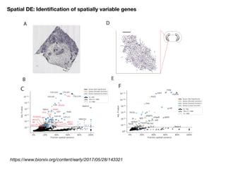 Image Based Transcriptomics: An Overview | PDF