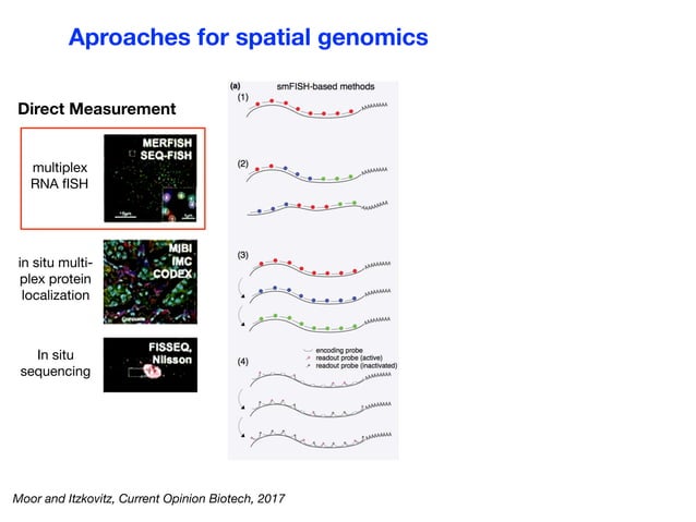 Image Based Transcriptomics: An Overview | PPT