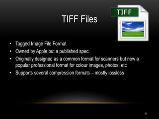 Image types,raster and vector graphics | PDF