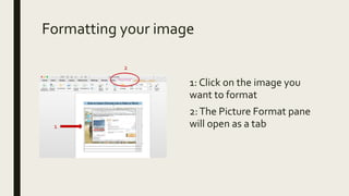 How-to Insert Images into a Table Using Word | PPTX