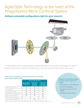 ImageXpress Micro Confocal Brochure - Molecular Devices | PDF ...
