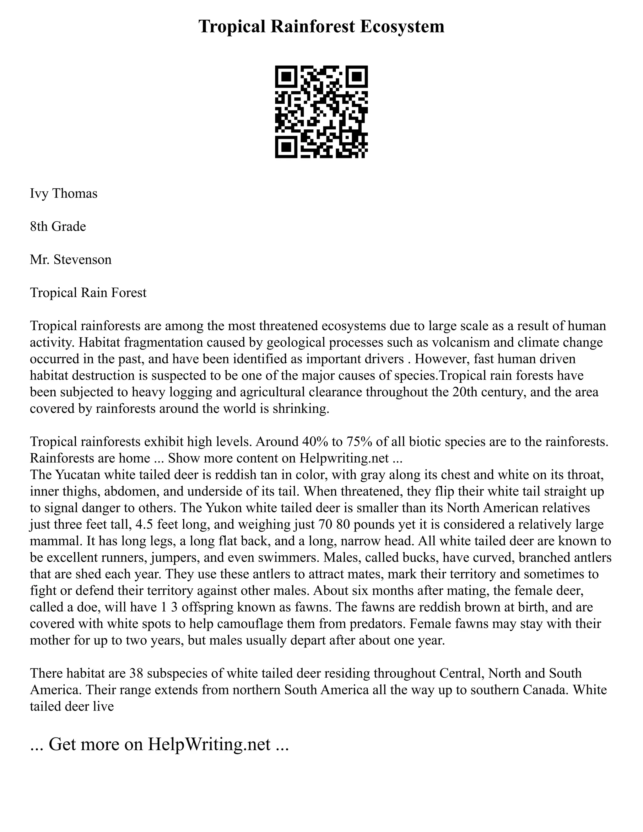 Imaginative Writing Examples. Imaginative Stor | PDF