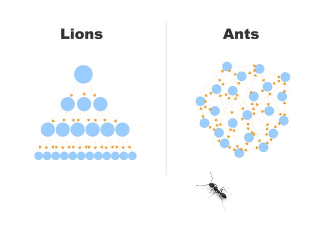 About Lions and Ants (Version 2) | PPT